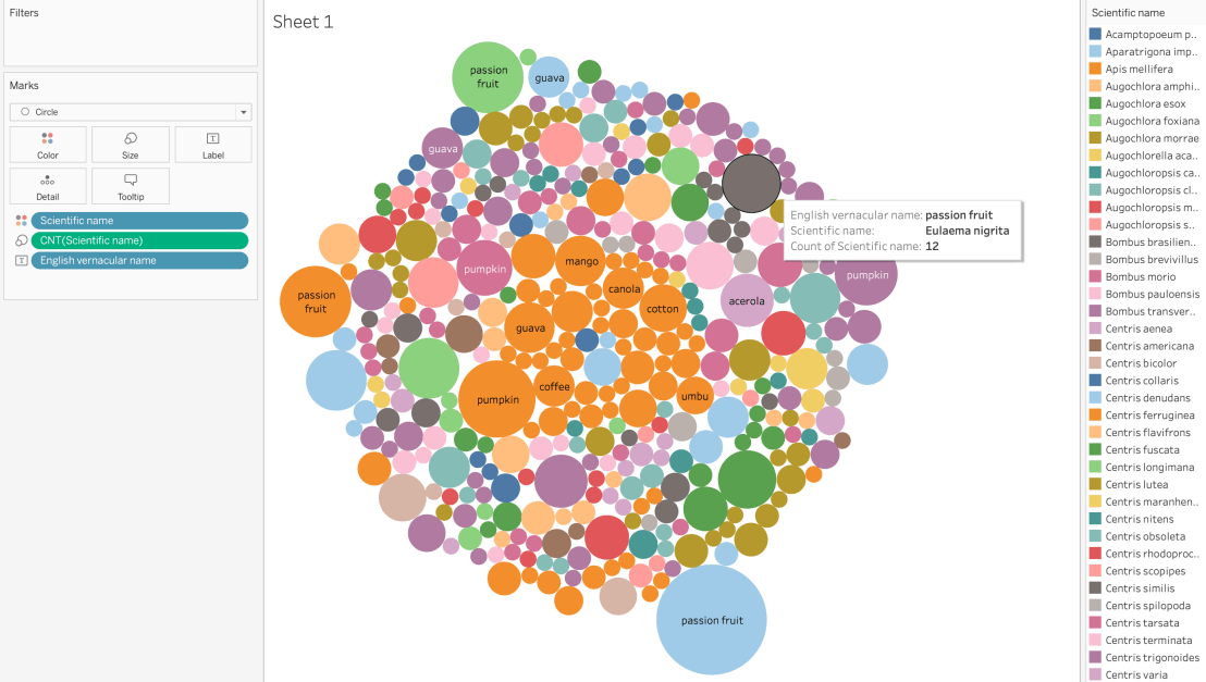 Bees – Ecology and Cultures Innovation Lab