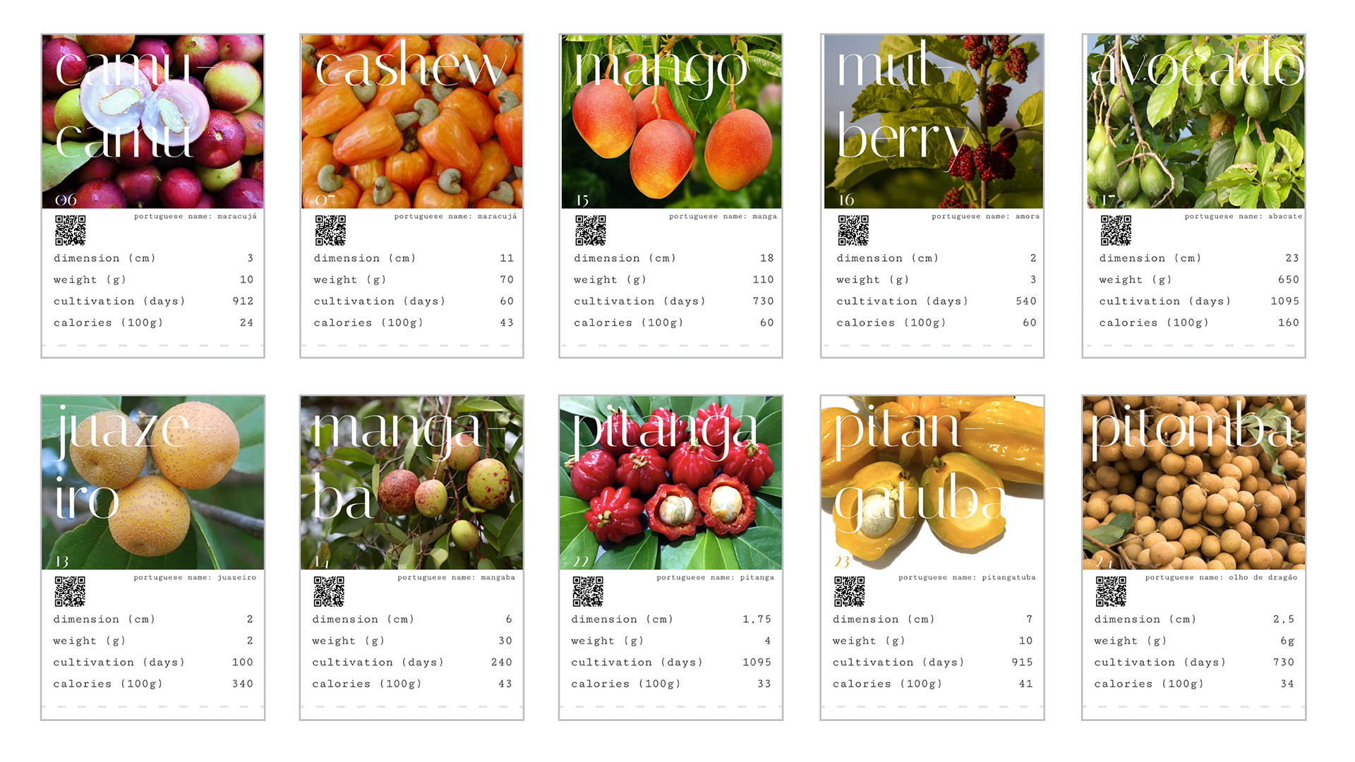 datavis 2022 – Ecology and Cultures Innovation Lab