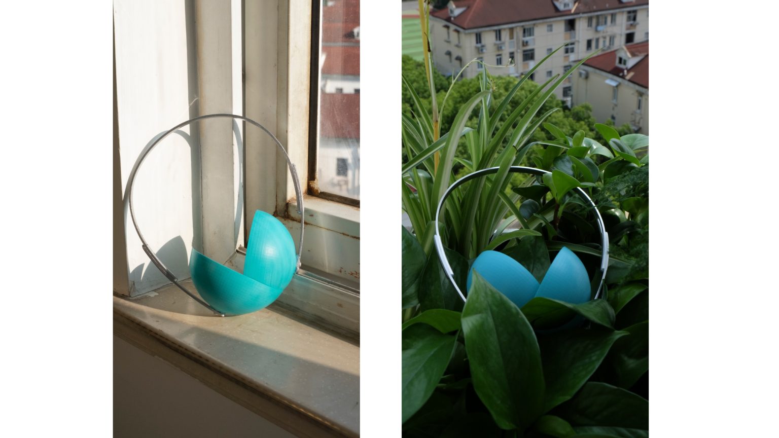 Nature Connector, LU Wentao – Ecology and Cultures Innovation Lab