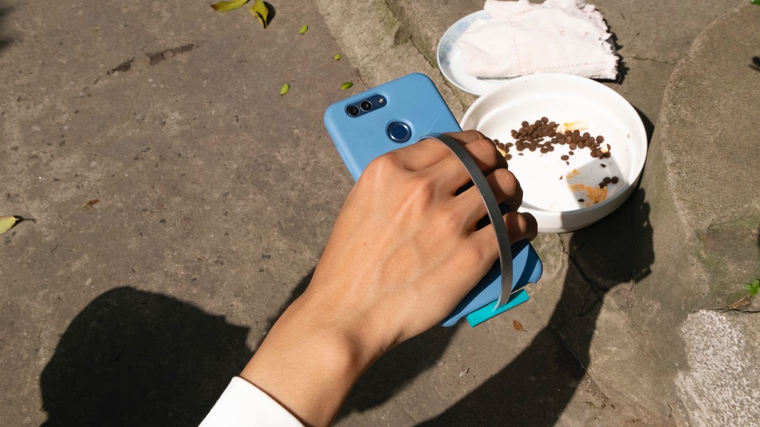 Nature Connector, LU Wentao – Ecology and Cultures Innovation Lab