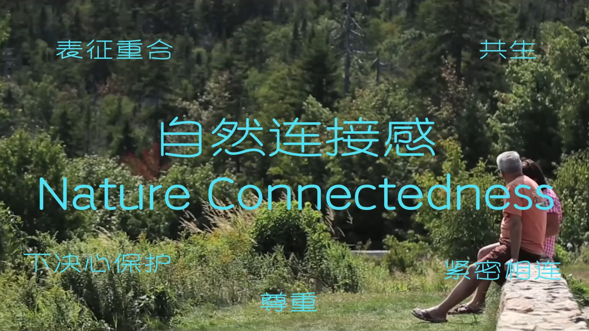 Nature Connector, LU Wentao – Ecology and Cultures Innovation Lab