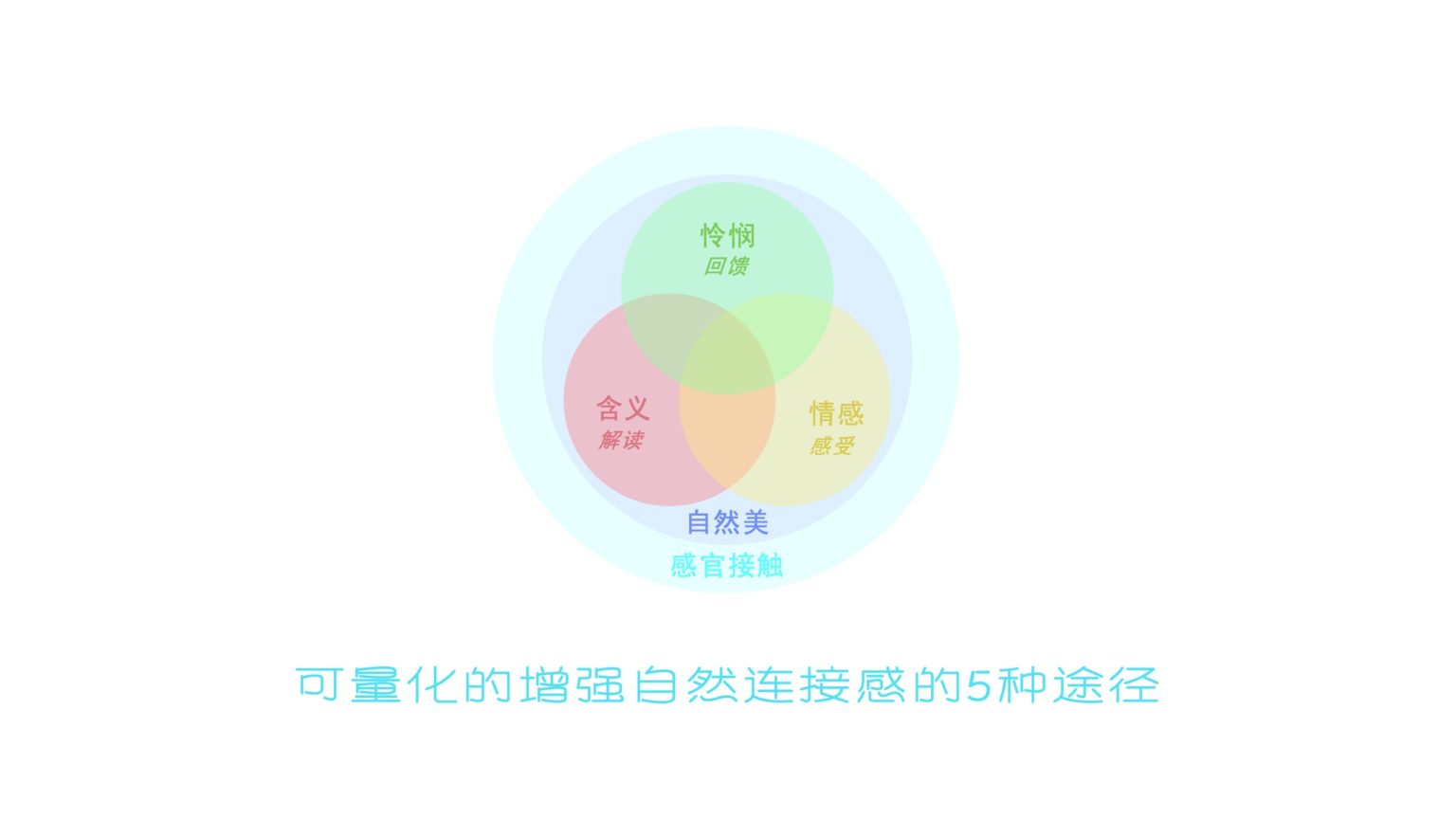 Nature Connector, LU Wentao – Ecology and Cultures Innovation Lab