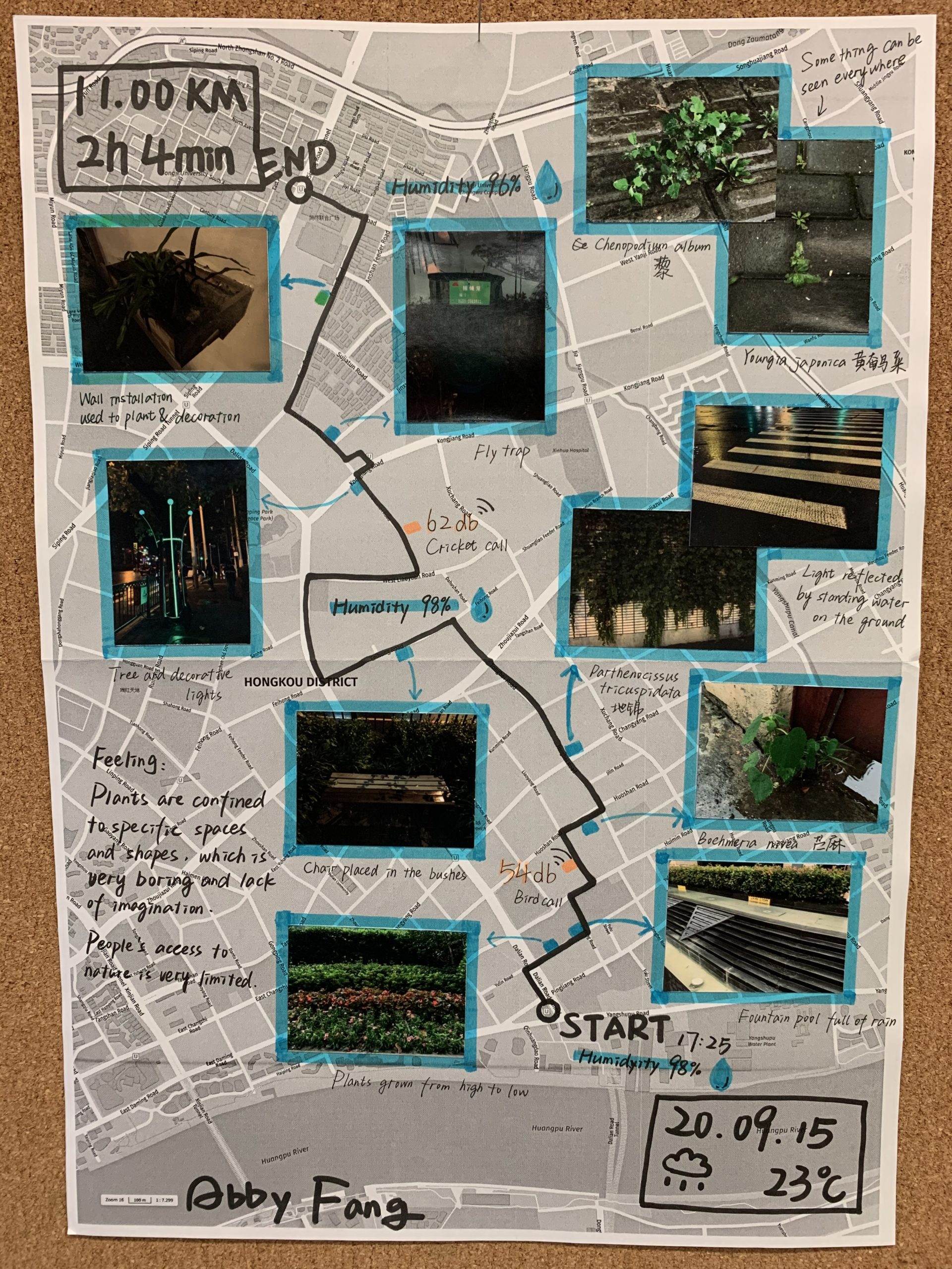 Explorative Research of Urban Nature #1 – Ecology and Cultures ...