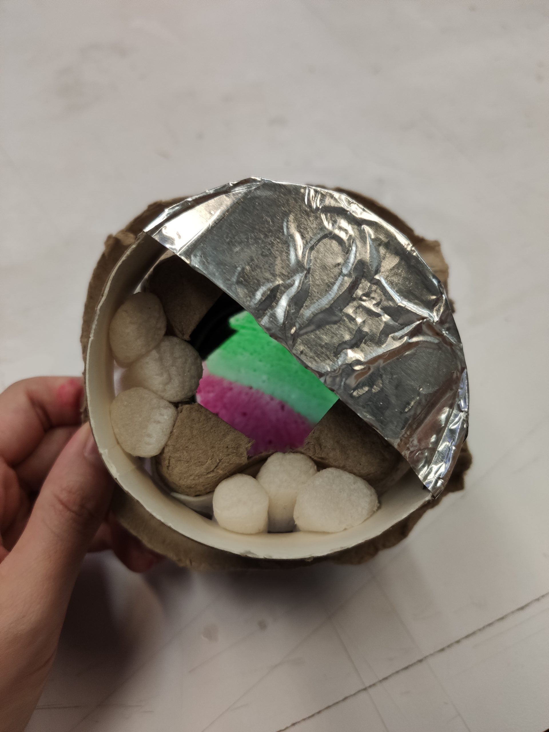 Whatchamacallit #1 – Ecology and Cultures Innovation Lab