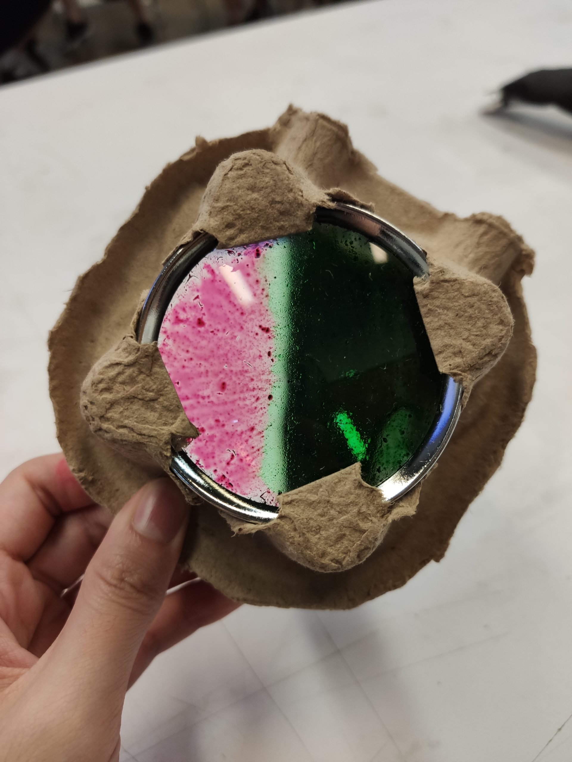 Whatchamacallit #1 – Ecology and Cultures Innovation Lab