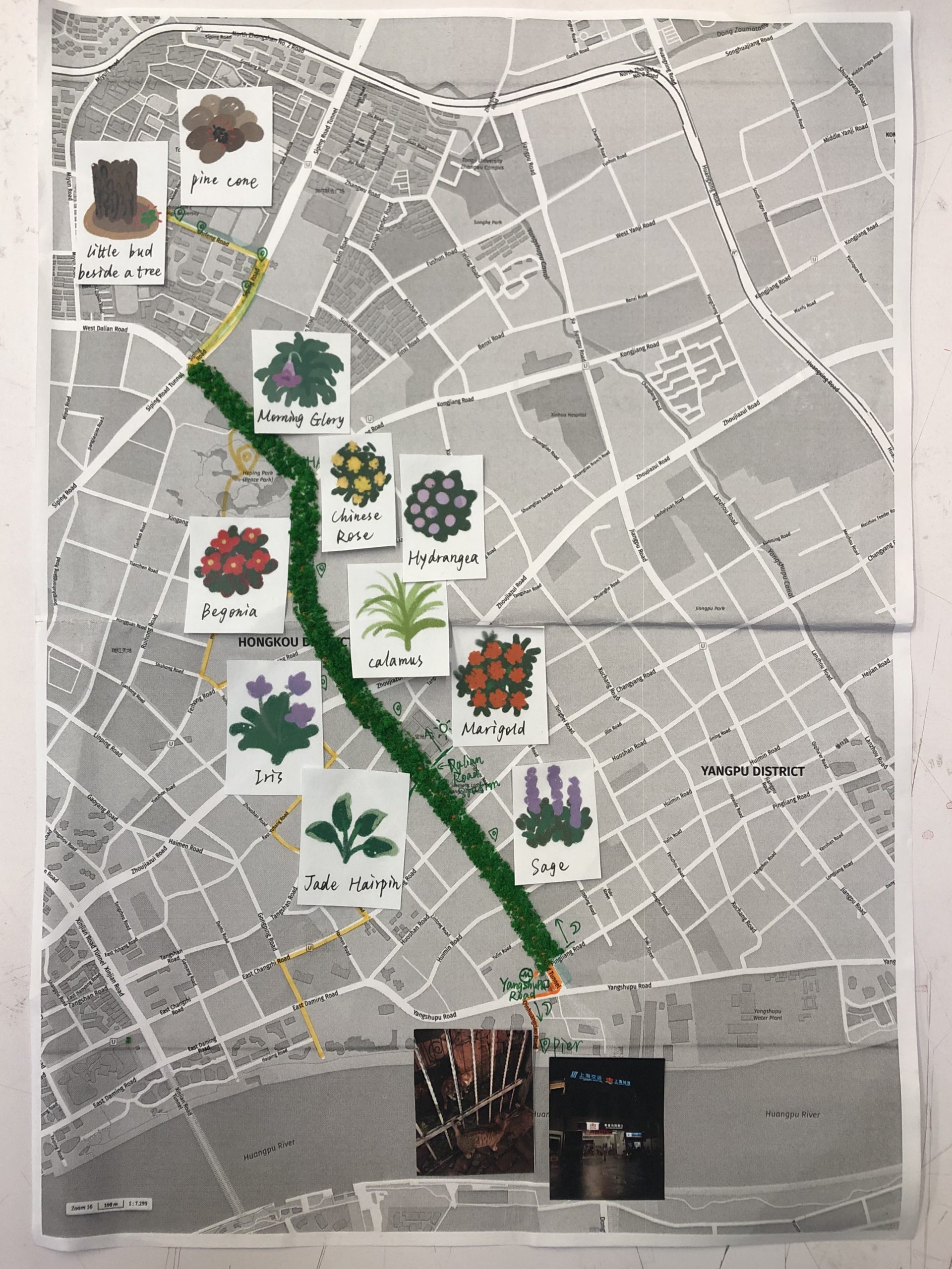 Explorative Research of Urban Nature #1 – Ecology and Cultures ...