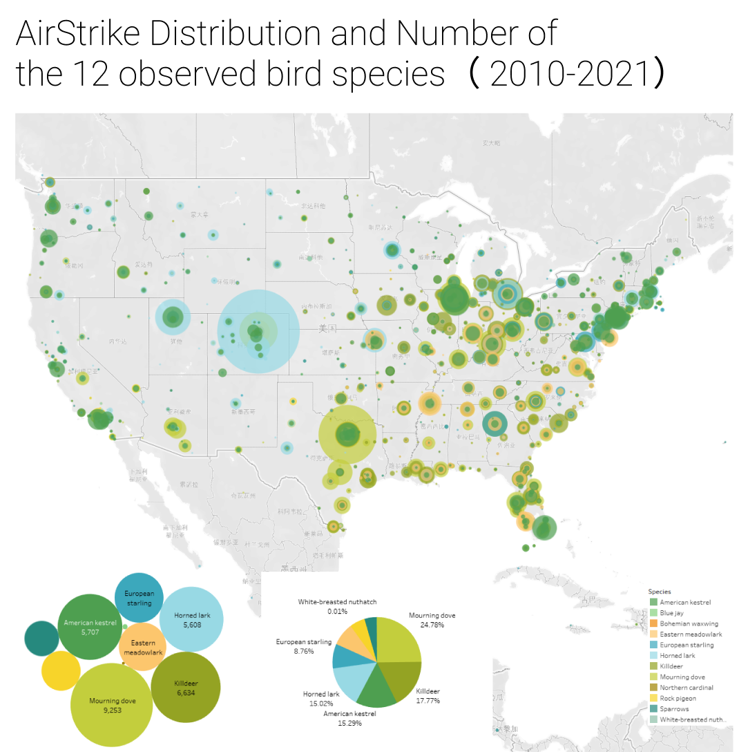 Lucky Pilot: Birdy – Ecology and Cultures Innovation Lab
