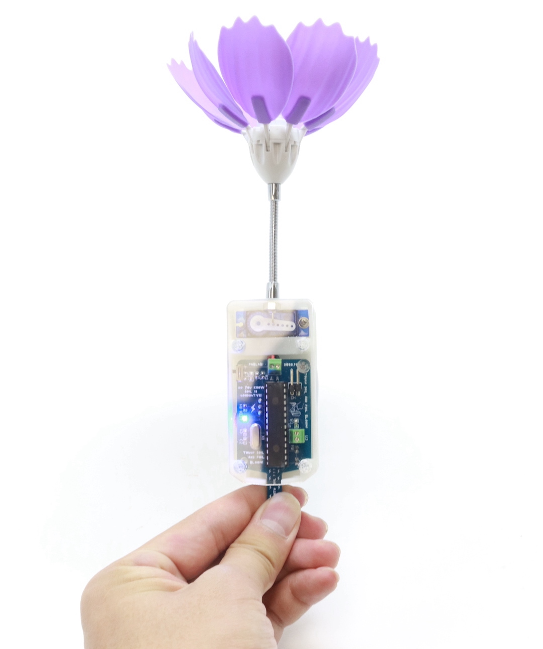 “Sensing Ecology”: Electronic Circuits and Programming from Designers ...