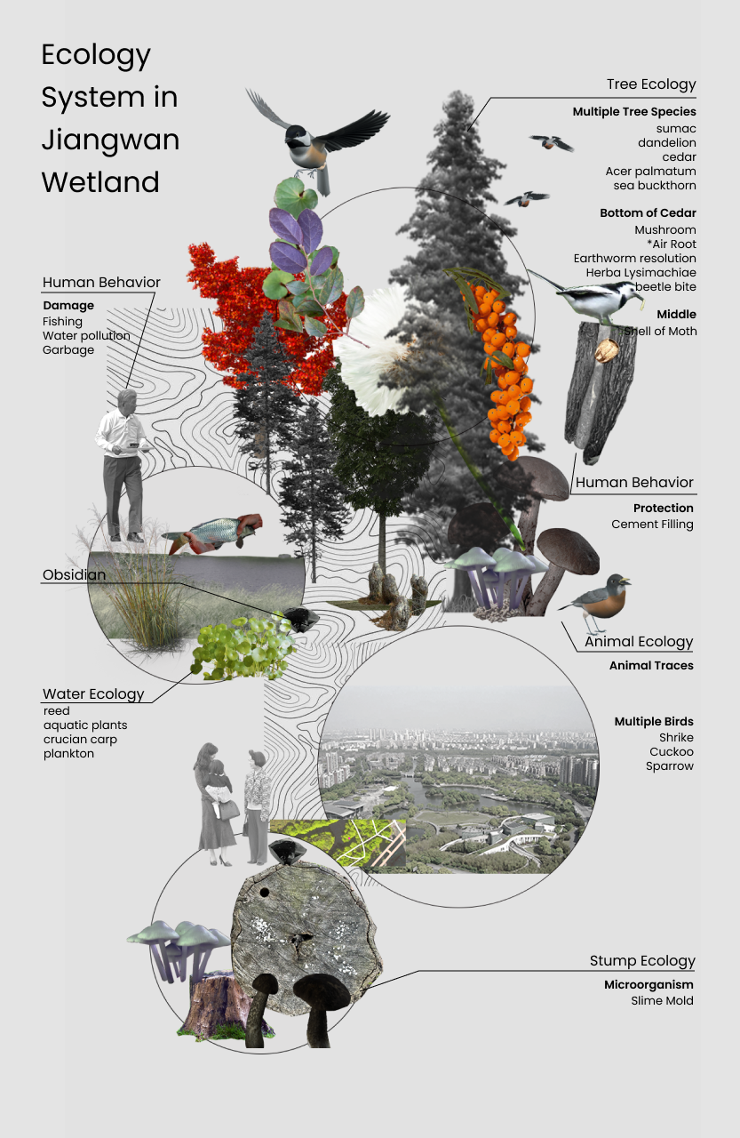 Courses – Ecology and Cultures Innovation Lab